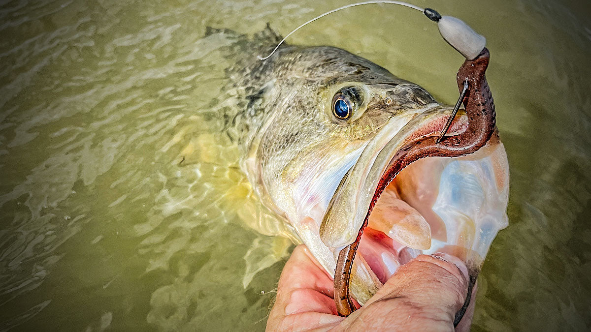 Summer Bass Patterns - Mastering the Deep Water Jig Head Worm Bite ...