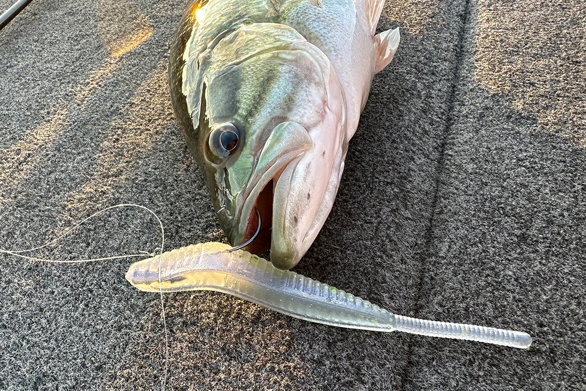 Understanding Hover Jig Heads - Advantages, Techniques and Best Brands ...